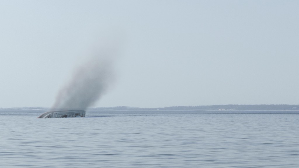 Cap Arcona – Der Film – Eine weitere WordPress-Seite